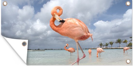 Schuttingposter Een flamingo staat op één poot in het water - 200x100 ...
