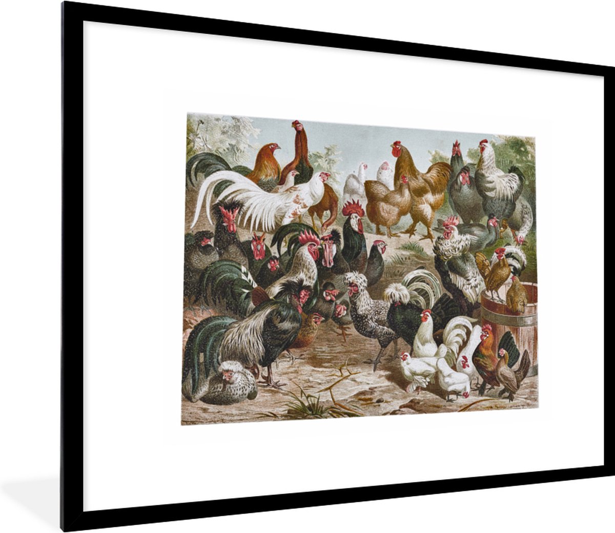 Fotolijst incl. Poster - tekening van hanen en kippen in een ren ...