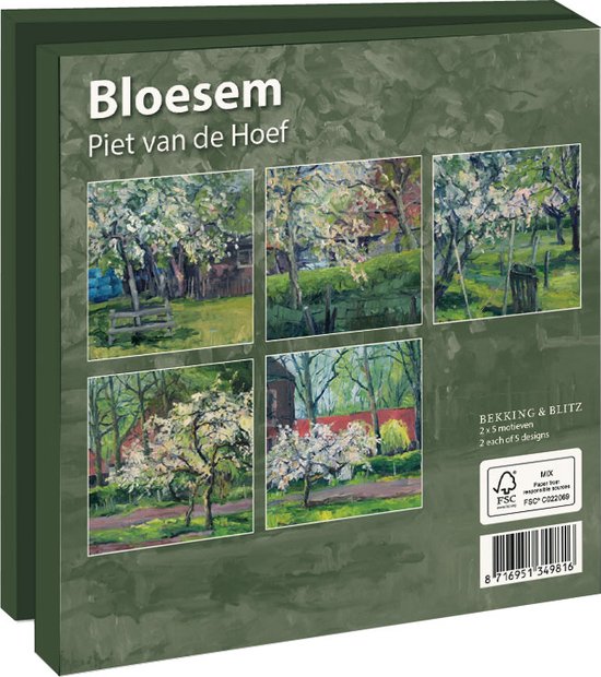 Bekking & Blitz - Wenskaartenmapje - Set wenskaarten - Kunstkaarten - Museumkaarten -... | bol.com