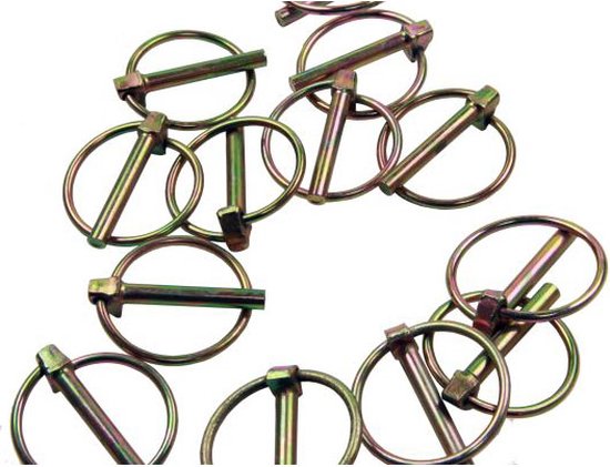 Borgpen / Borgpennen 4.5 mm (50 stuks) | bol