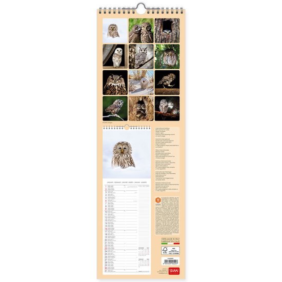 Legami Outstanding Owls 2022 kalender | 8054320562207 | Boeken | bol.com