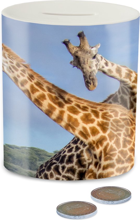 Spaarpot - Spaarblik - Giraffes - Dieren - Natuur - Spaarpotten ...