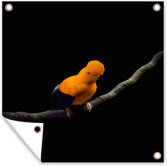 Tuindoek Rode rotshaan op een takje zwarte achtergrond - 100x100 cm | bol