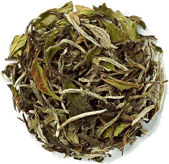 Novus Tea Pai Mu Tan 50 gram Losse Thee - Award Winning Tea | bol.com