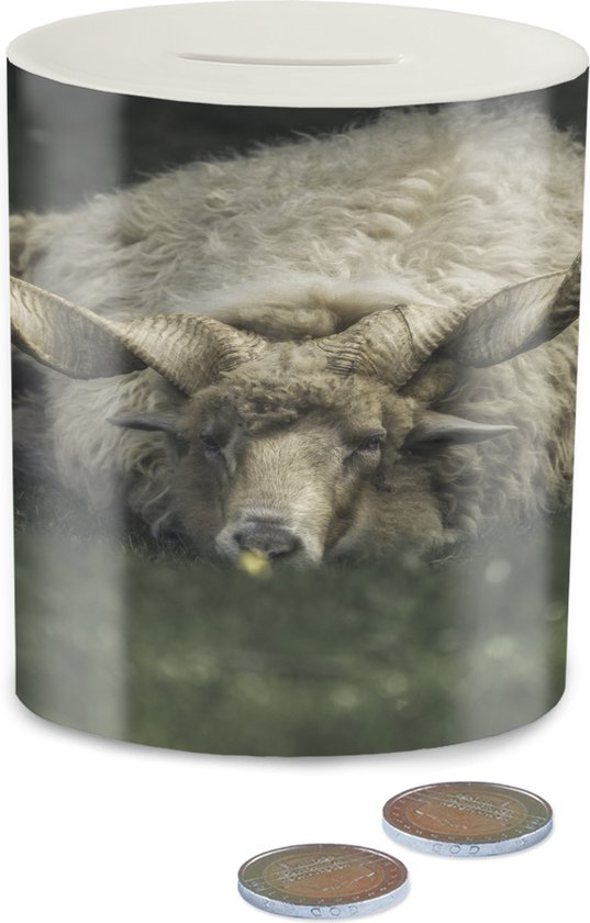 Spaarpot - Spaarblik - Schaap - Hoorn - Gras - Spaarpotten ...