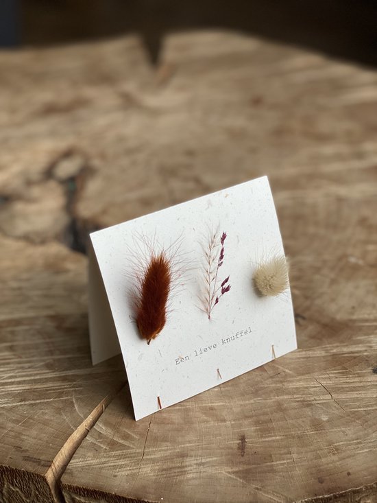 Een lieve knuffel | wenskaart met droogbloemen | 2 stuks | incl ...