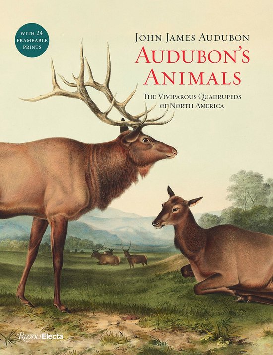 Audubon's Animals, John James Audubon | 9780789341143 | Boeken | bol.com
