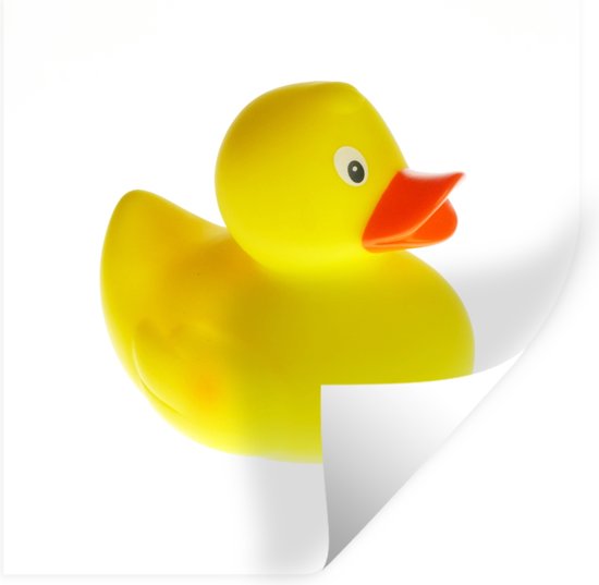 Muurstickers - Sticker Folie - Bad eend op witte achtergrond - 100x100 ...