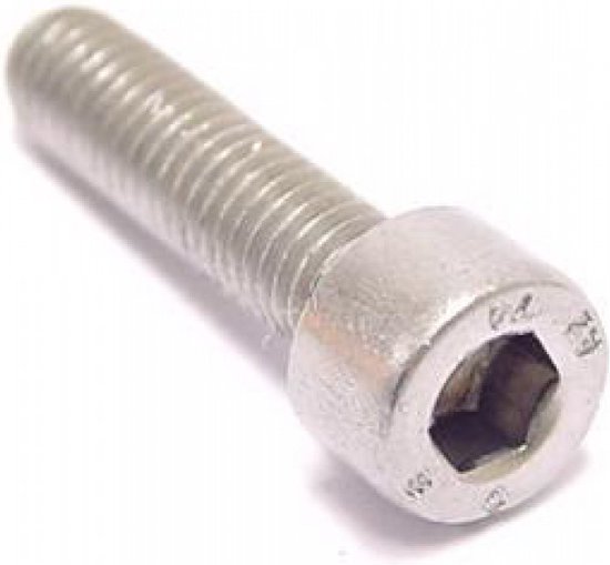 Inbusbout M5 x 30 Bofix RVS (25 stuks) | bol.com