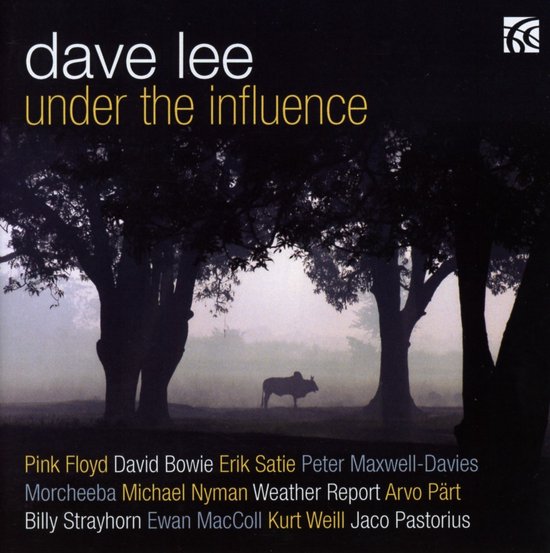 Dave Lee - Under The Influence (CD), Dave Lee | Muziek | bol