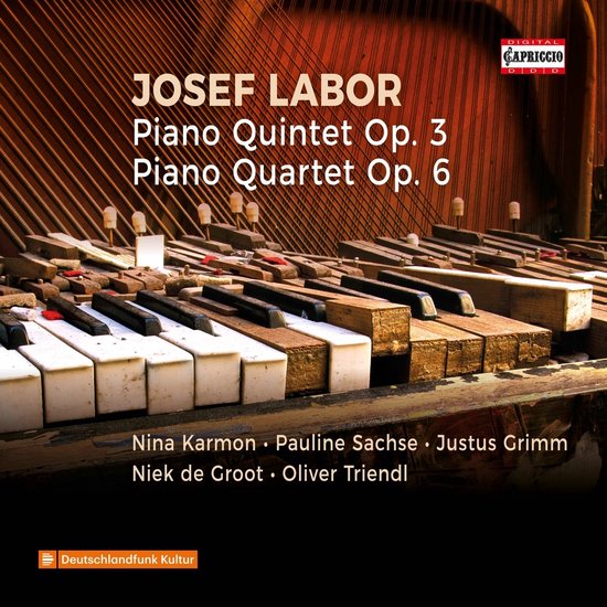 Josef Labor: Piano Quintet Op. 3 / Piano Quartet Op. 6, Onbekend | CD ...