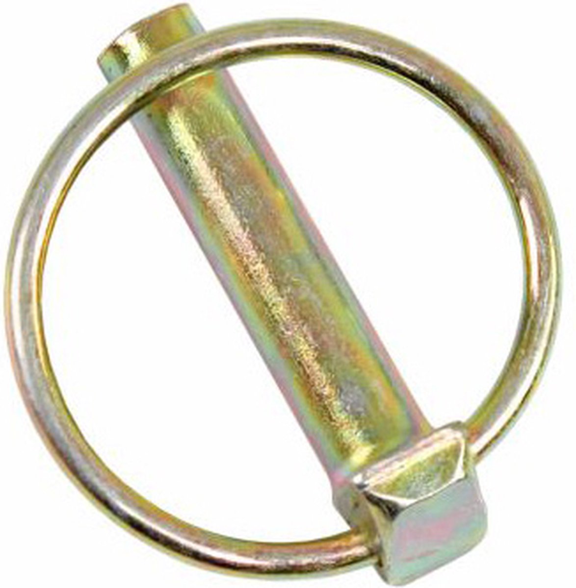 Borgpen / Borgpennen 10 mm (50 stuks) | bol.com