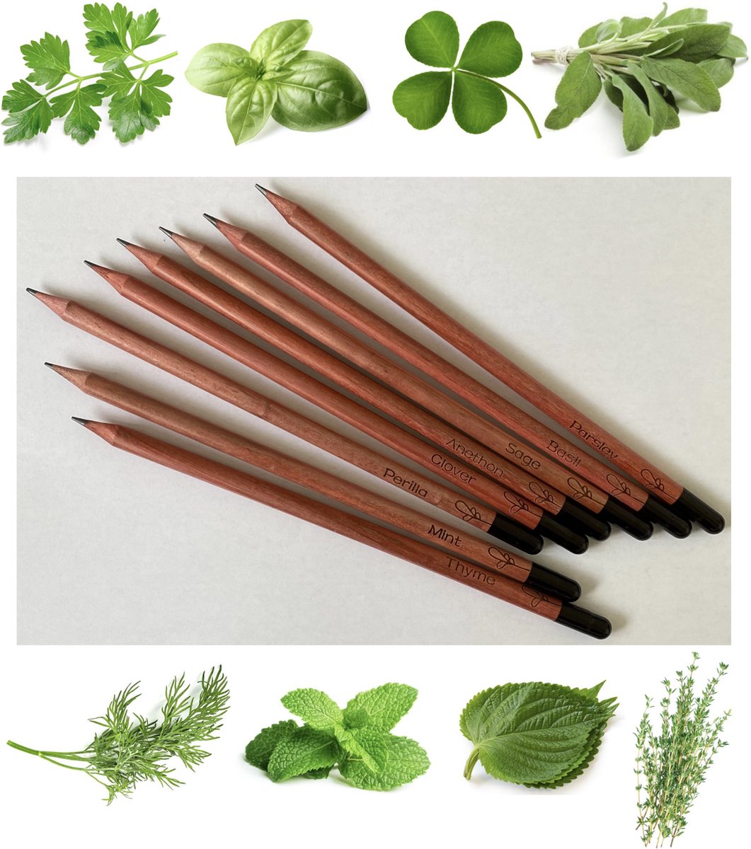 kiempotlood // potlood met zaden // bloeipotlood // unieke potloden ...