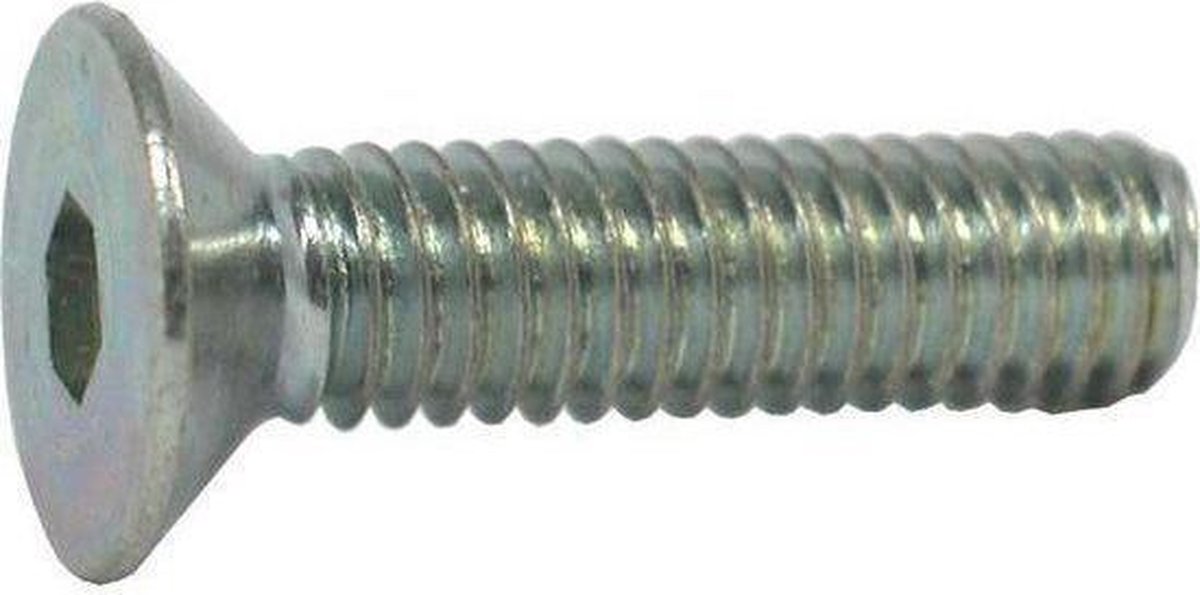 inbusbout gegalvaniseerd platkop M12x30 (50st.) | bol