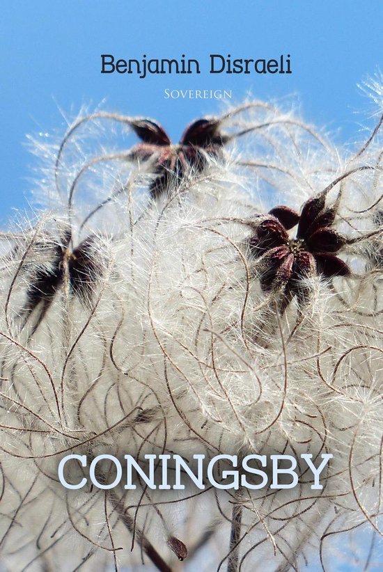 Coningsby (ebook), Earl Of Beaconsfield Benjamin Disraeli ...
