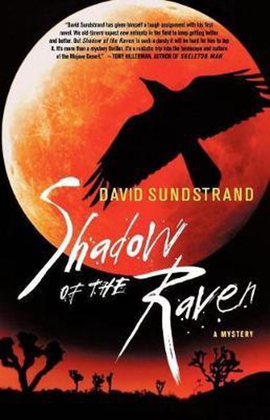 Shadow of the Raven, David Sundstrand | 9781250005434 | Boeken | bol