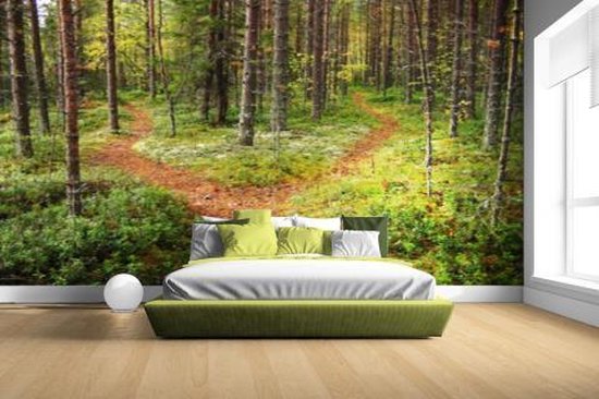 Een kruispunt in het bos Fotobehang 380x265 | bol.com
