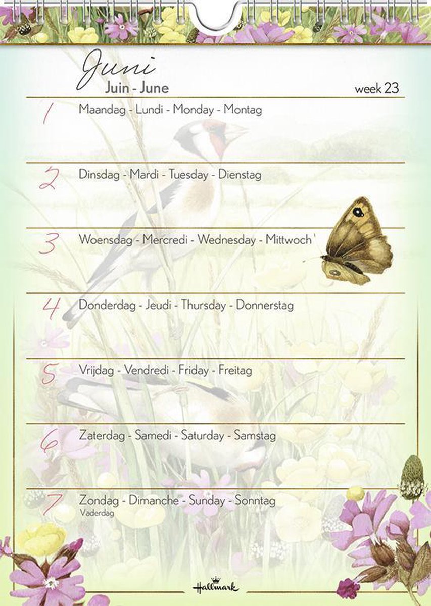 Hallmark weekkalender ‘Marjolein Bastin • weide' 2019 | bol.com