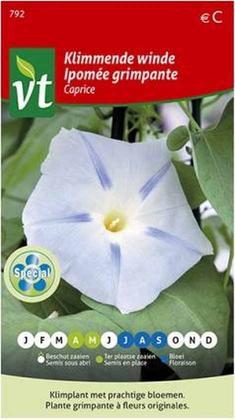 Klimmende Winde Caprice - Snelgroeiende en Rijkbloeiende Klimplant met ...