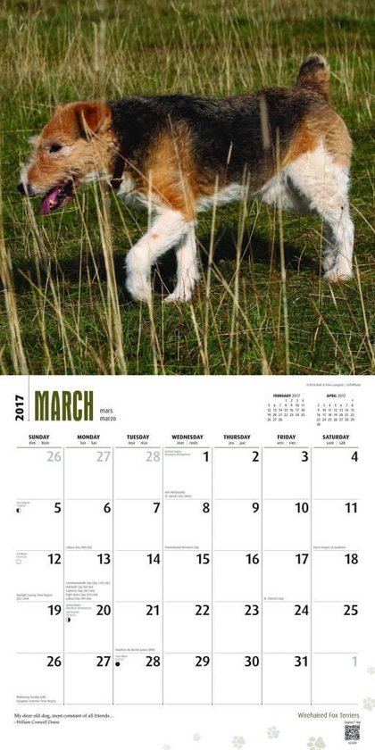 Browntrout Draadharige / Ruwharige Fox Terrier Kalender 2017 | bol