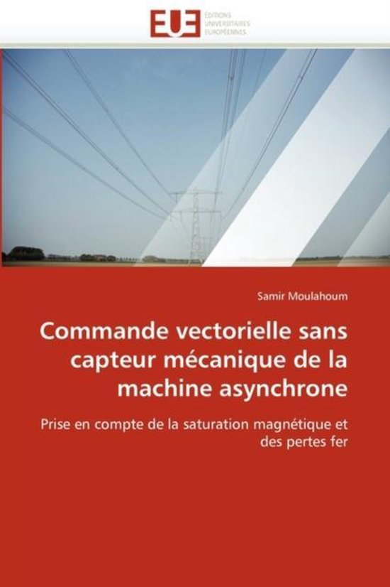Commande vectorielle sans capteur mécanique de la machine asynchrone ...