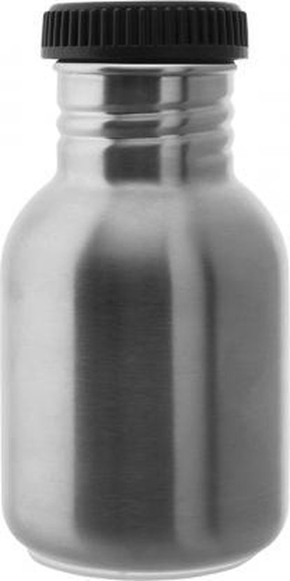 RVS fles 0,35L Basic Steel Plain, Laken | bol.com