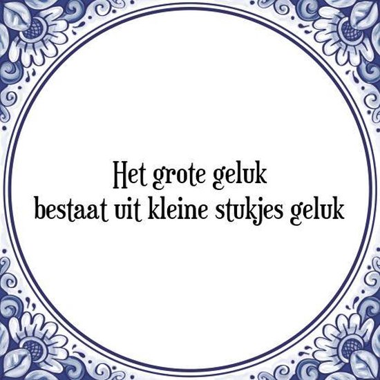 Tegeltje met Spreuk (Tegeltjeswijsheid): Het grote geluk bestaat uit kleine stukjes... | bol
