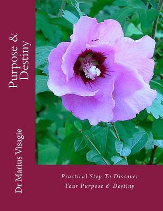Purpose and Destiny, Marius Visagie | 9781475052718 | Boeken | bol.com