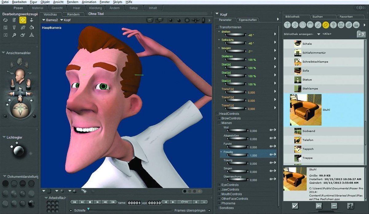 Poser Pro 2014 (PC/Mac) - Engels | bol