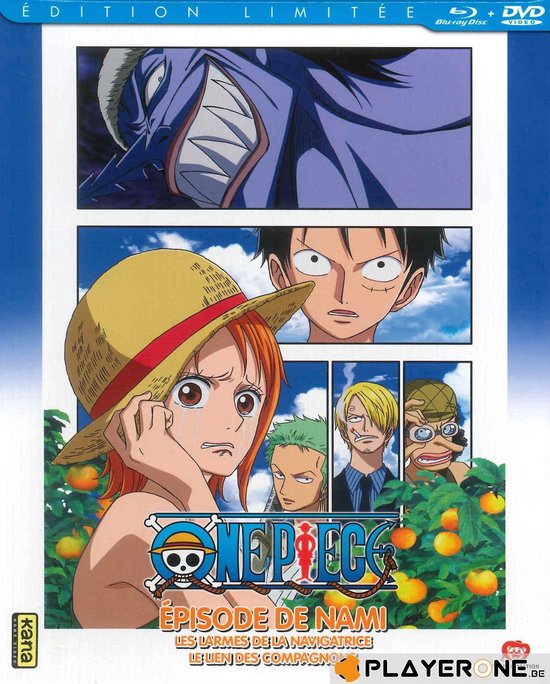 ONE PIECE - Episode de Nami Les Larmes de la ... (DVD+BR) : Blu Ray ...