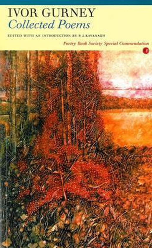 Ice, Gillian Clarke | 9781847771995 | Boeken | bol.com
