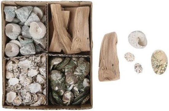 Schelpen/schelpjes/houtjes mix in box naturel 20 x 17 cm | bol.com