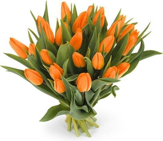 25 oranje tulpen boeket | bol