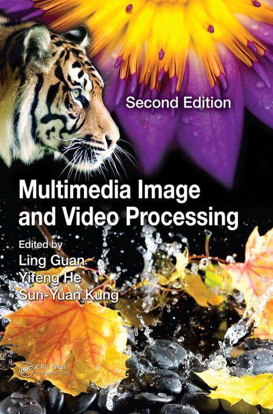 Image Processing Series - Multimedia Image and Video Processing (ebook ...