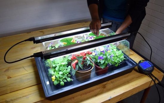 Propagator Geopod (large) Verwarmde kweekbak Verwarmd met geïntegreerde ...