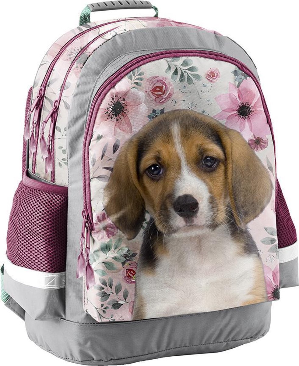 Animal Pictures Beagle - Rugzak - 42 cm - Multi | bol.com