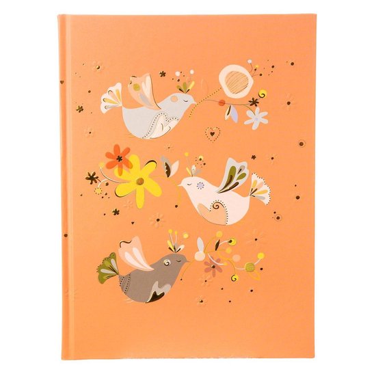GOLDBUCH GOL-64404 TURNOWSKY A5 gastenboek INDIAN SUMMER als ...