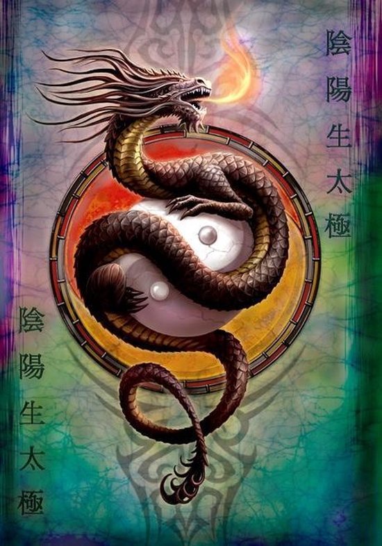 Anne Stokes Wenskaart Yin Yang Protector‎‎ | bol