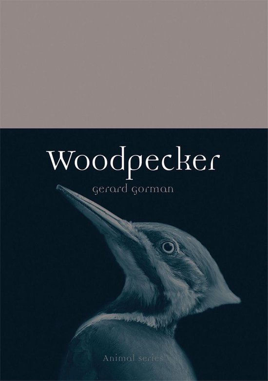 Animal - Woodpecker (ebook), Gerard Gorman | 9781780238937 | Boeken ...
