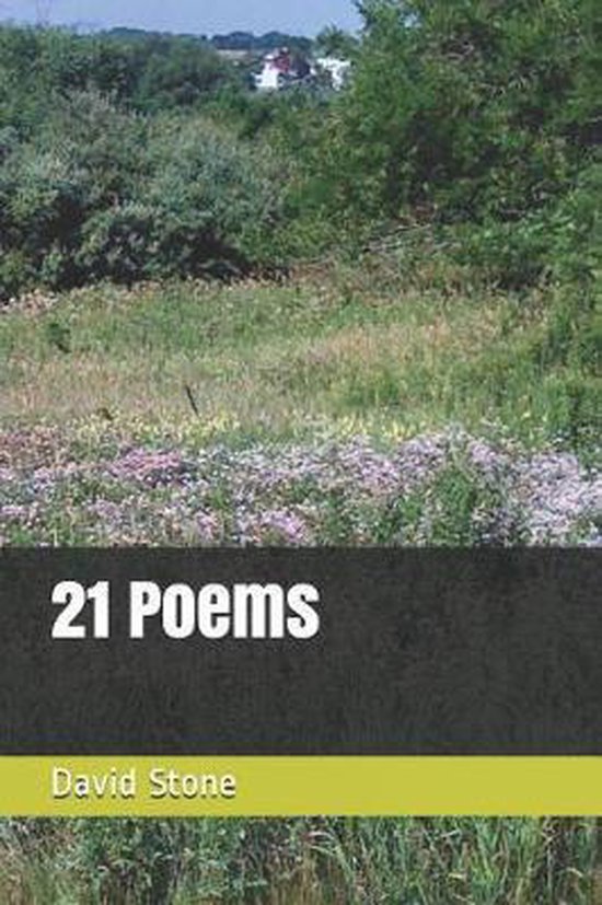 21 Poems, David Stone | 9781091364448 | Boeken | bol.com