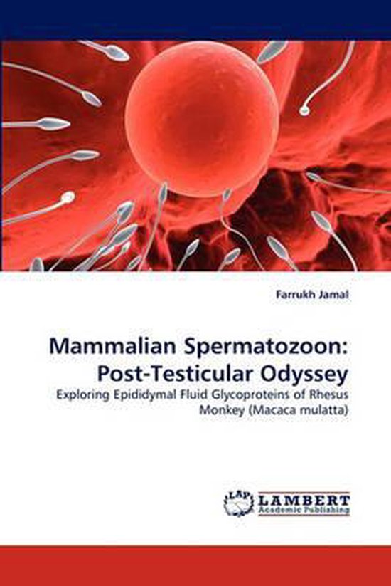 Mammalian Spermatozoon | 9783844325720 | Farrukh Jamal | Boeken | bol.com Mammalian Spermatozoon | 9783844325720 | Farrukh Jamal | Boeken | bol.com
