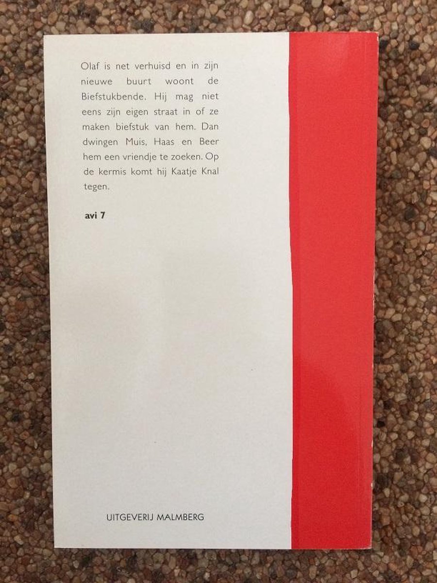 Kaatje Knal En De Biefstukbende Carry Slee 9789020803709 Boeken