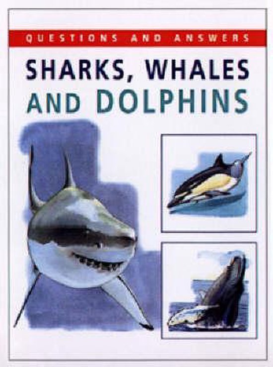 Sharks, Whales and Dolphins, Marie Levine | 9781868725359 | Boeken | bol.com