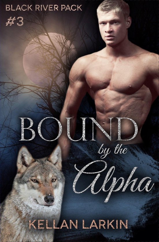 Black River Pack 3 - Bound by the Alpha (ebook), Kellan Larkin ...