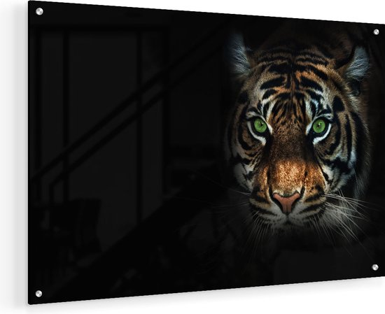 Artaza Glasschilderij - Tijgerkop Met Groene Ogen - Tijger - 60x40 - Plexiglas... | bol