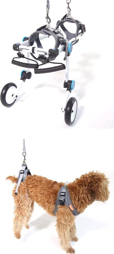 Honden rolstoel, Dogs wheelchair, hond rolstoel, dieren ...