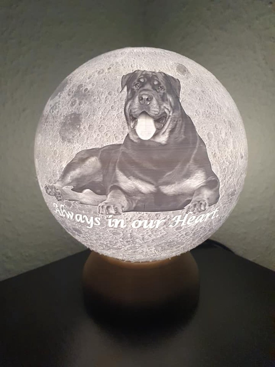 Moonlight met 3d foto - maanlamp - maan lamp - foto lamp - rouw ...