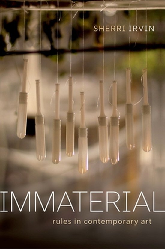 Immaterial | 9780199688210 | Sherri Irvin | Boeken | bol.com