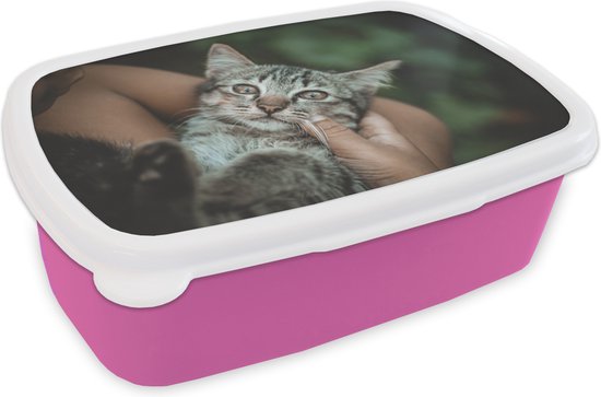 Broodtrommel Roze - Lunchbox - Brooddoos - Kat - Armen - Portret ...