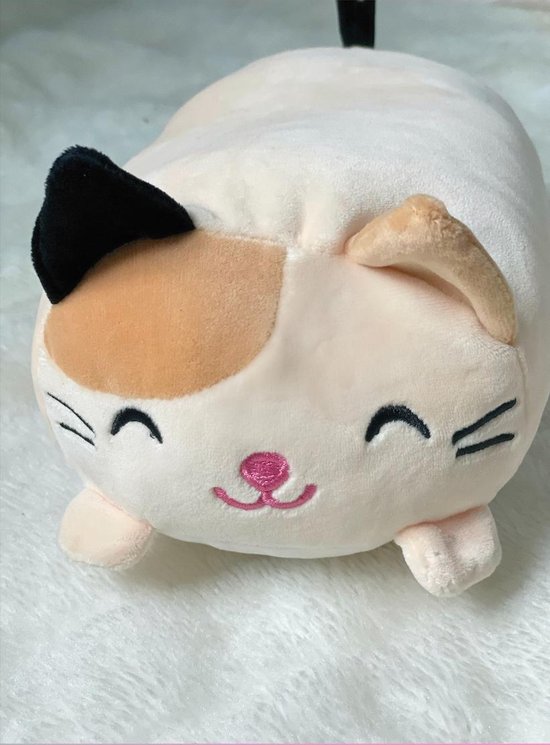 Kat knuffel,poes knuffel,kussenknuffel,cadeau voor Sinterklaas ...